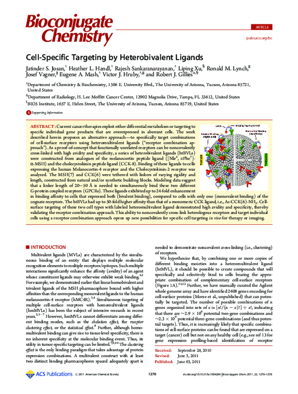 (PDF) Cell-Specific Targeting by Heterobivalent Ligands