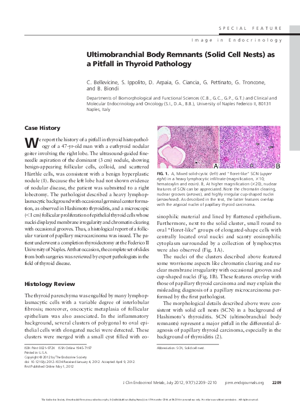 (PDF) Ultimobranchial Body Remnants (Solid Cell Nests) as a Pitfall in ...
