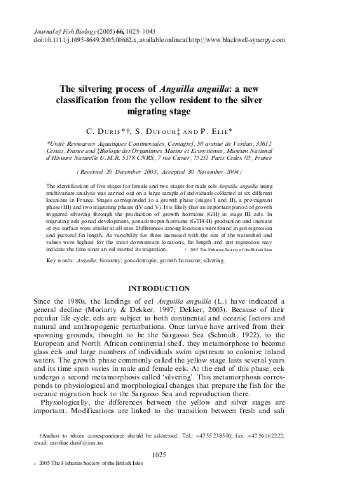 (PDF) The silvering process of