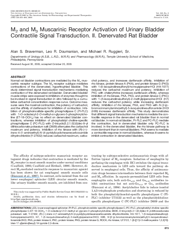 (PDF) M2 and M3 Muscarinic Receptor Activation of Urinary Bladder ...