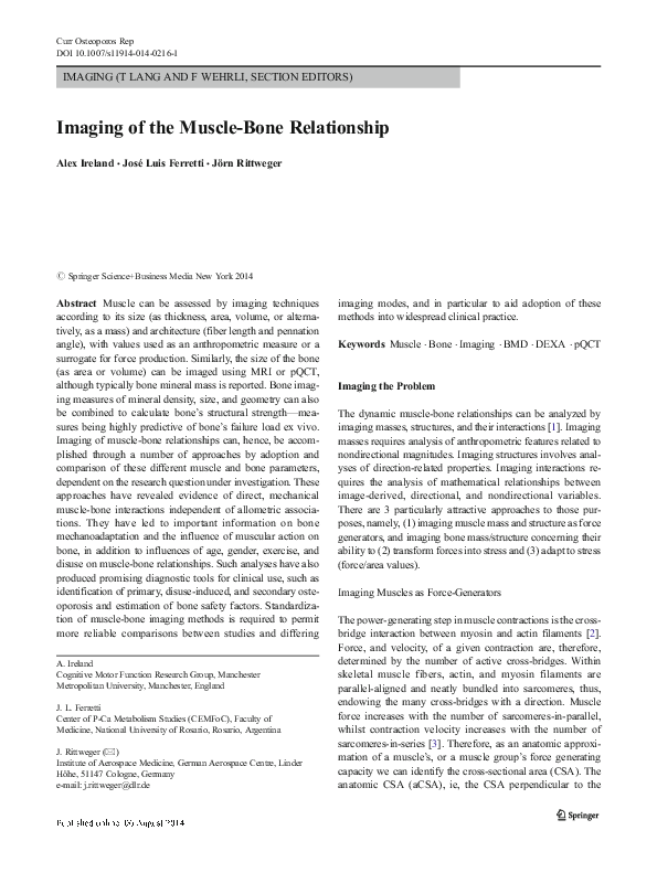 (PDF) Imaging of the Muscle-Bone Relationship