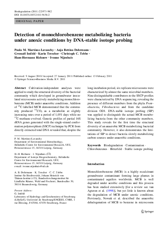 (PDF) Detection of monochlorobenzene metabolizing bacteria under anoxic ...