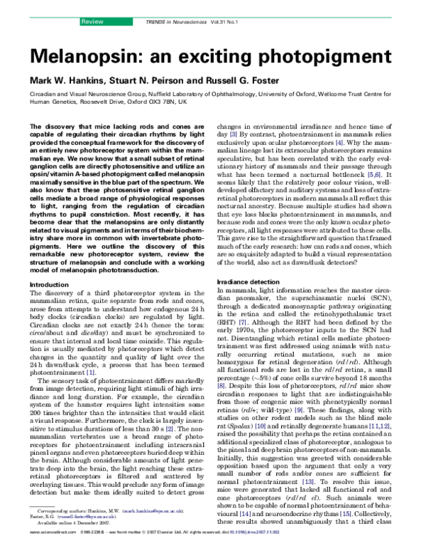 (PDF) Melanopsin: an exciting photopigment