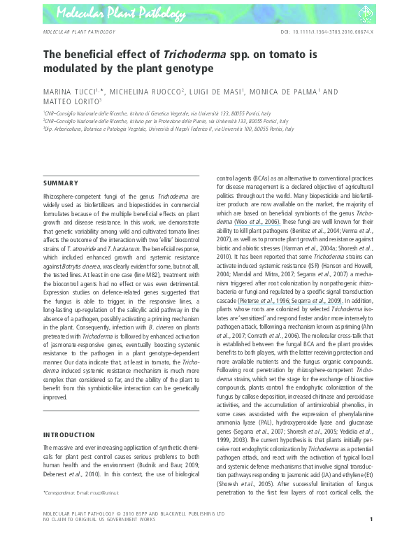Pdf The Beneficial Effect Of Trichoderma Spp On Tomato Is Modulated By The Plant Genotype