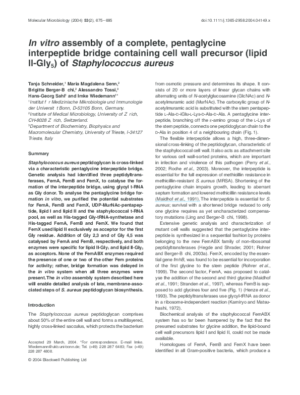 (PDF) In vitro assembly of a complete, pentaglycine interpeptide bridge ...