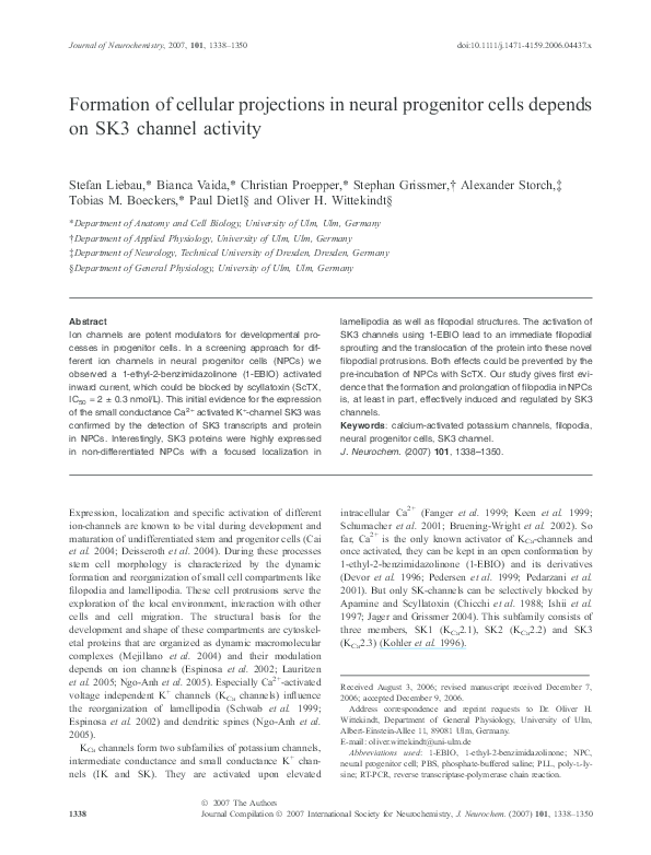 (PDF) Formation of cellular projections in neural progenitor cells ...