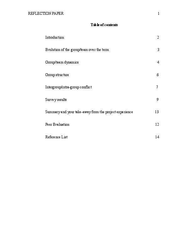(DOC) Individual Reflection on Group Consulting Experience