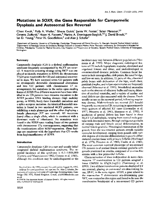 (PDF) Mutations in SOX9, the gene responsible for Campomelic dysplasia and autosomal sex ...