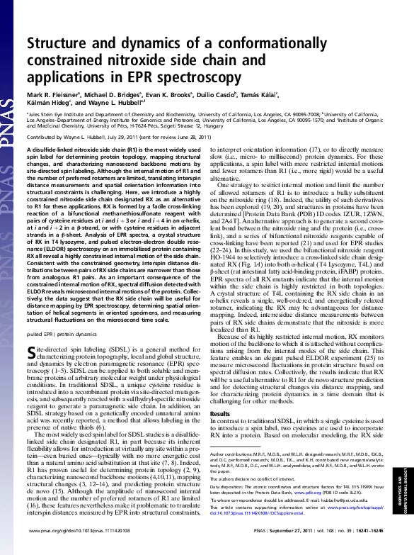 (PDF) Structure and dynamics of a conformationally constrained ...