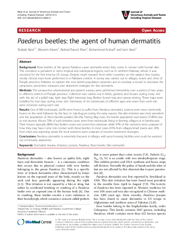 (PDF) Paederus beetles: the agent of human dermatitis