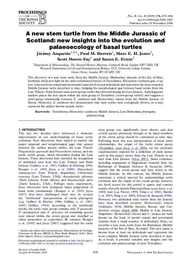 (PDF) A new stem turtle from the Middle Jurassic of Scotland: new ...