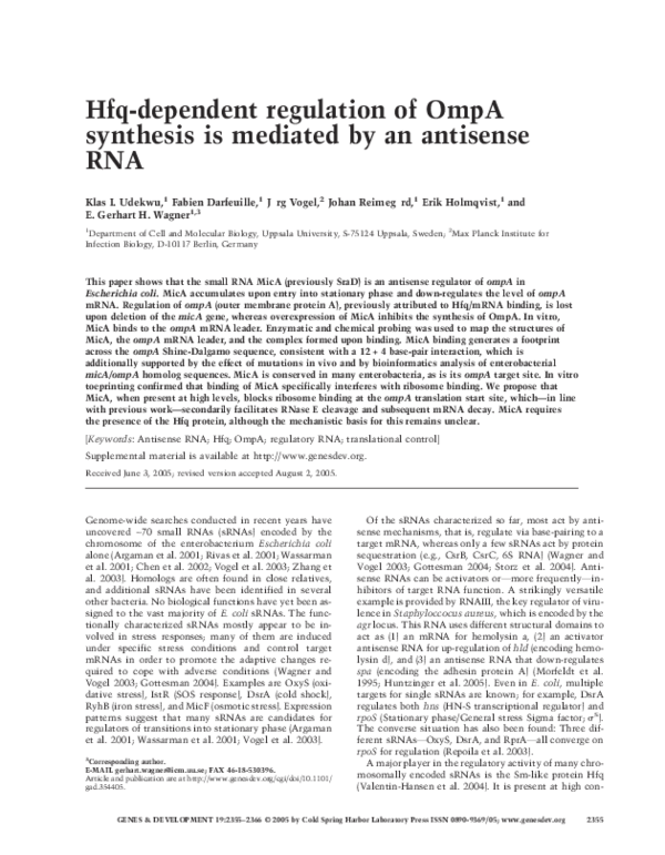 (PDF) Hfq-dependent regulation of OmpA synthesis is mediated by an ...
