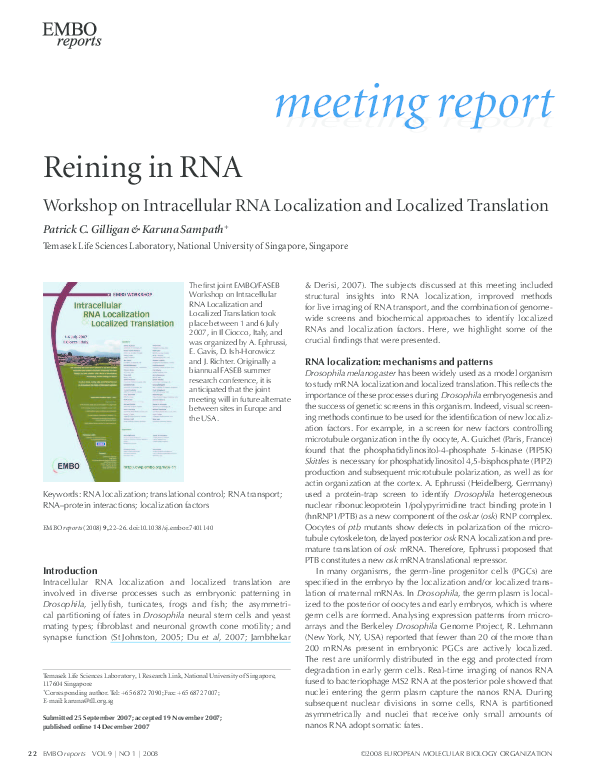 (PDF) Reining in RNA. Workshop on Intracellular RNA Localization and ...