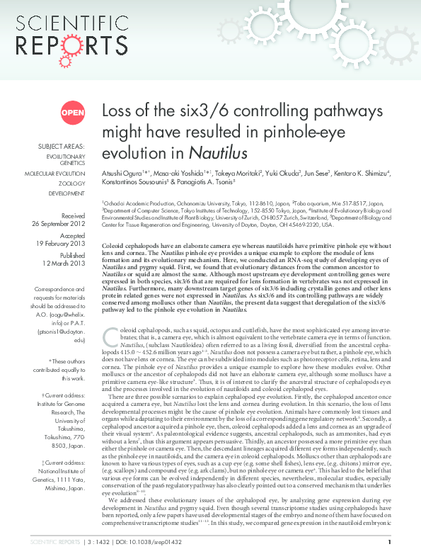 (PDF) Loss of the six3/6 controlling pathways might have resulted in ...