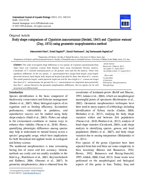 (PDF) Body shape comparison of Cyprinion macrostomum (Heckel, 1843) and ...