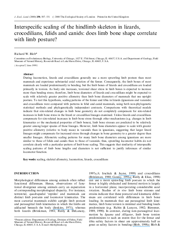(PDF) Interspecific scaling of the hindlimb skeleton in lizards ...