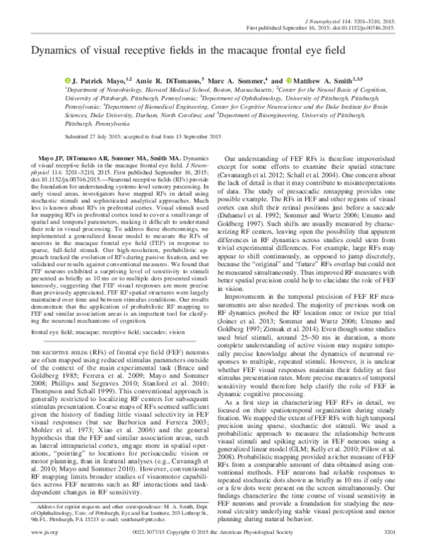 (PDF) Dynamics of visual receptive fields in the macaque frontal eye field