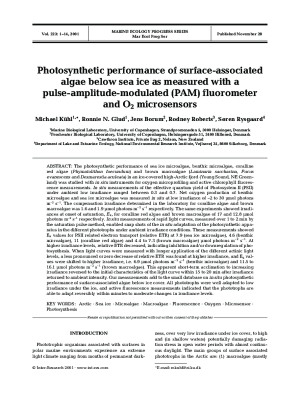(PDF) Photosynthetic performance of surface-associated algae below sea ...