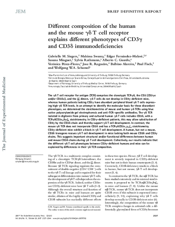(PDF) Different composition of the human and the mouse T cell receptor ...