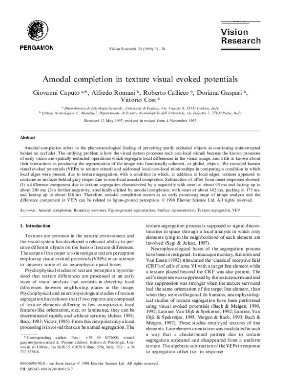 (PDF) Texture VEPs and Amodal Completion in Visual Processing (PDF) Texture VEPs and Amodal Completion in Visual Processing