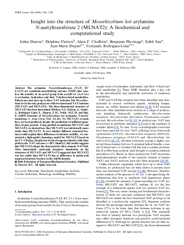 (PDF) Insight into the structure of Mesorhizobium loti arylamine N ...