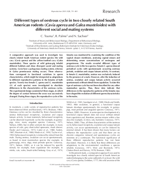 (PDF) Different types of oestrous cycle in two closely related South ...