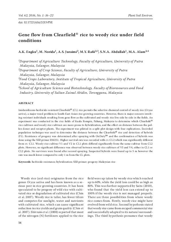 (PDF) Gene flow from Clearfield® rice to weedy rice under field conditions