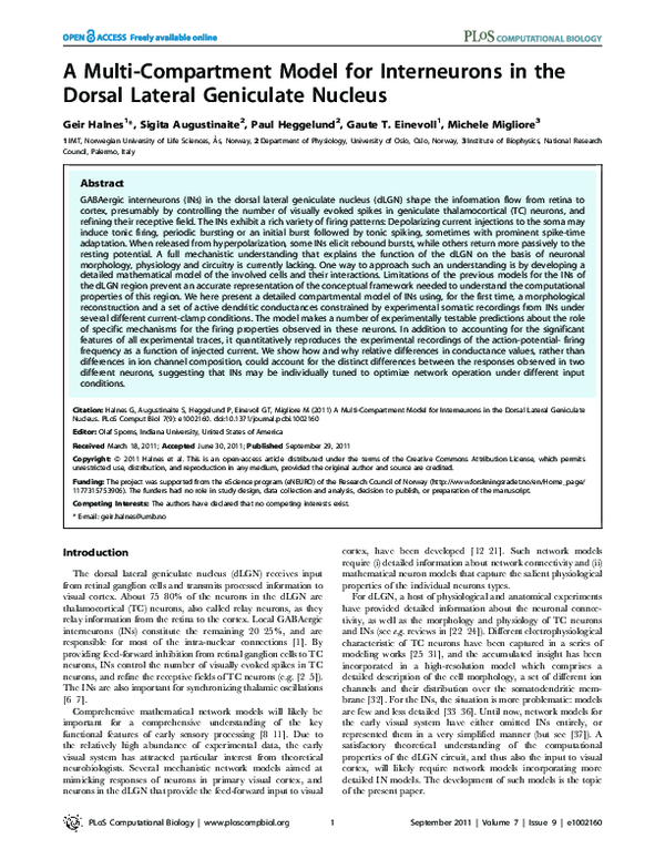 (PDF) A multi-compartment model for interneurons in the dorsal lateral geniculate nucleus | Geir ...