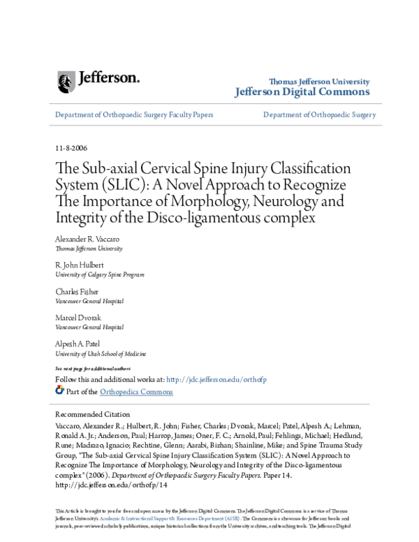 (PDF) The Subaxial Cervical Spine Injury Classification System