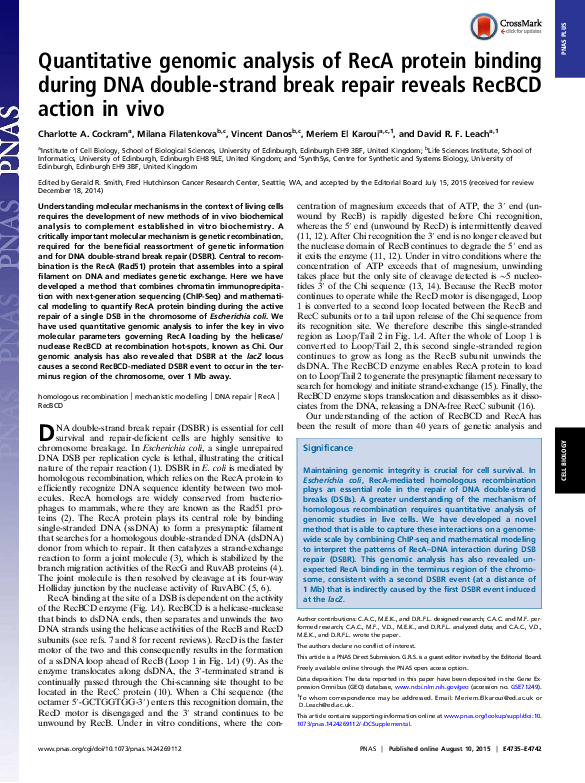 (PDF) Dynamic formation of RecA filaments at DNA double strand break ...