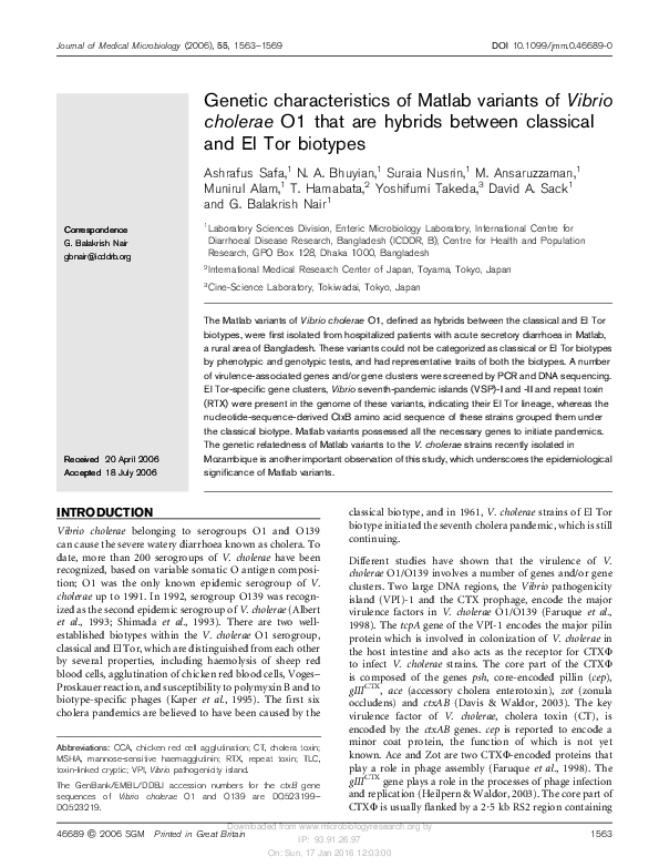 Pdf Genetic Characteristics Of Matlab Variants Of Vibrio Cholerae O1