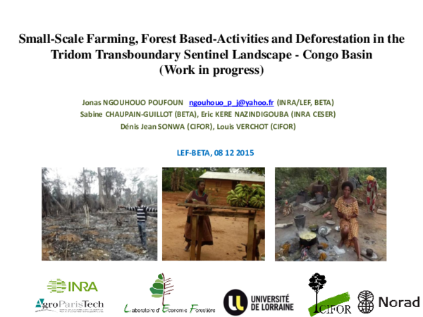 (PDF) Small-Scale Farming, Forest Based-Activities and Deforestation in ...