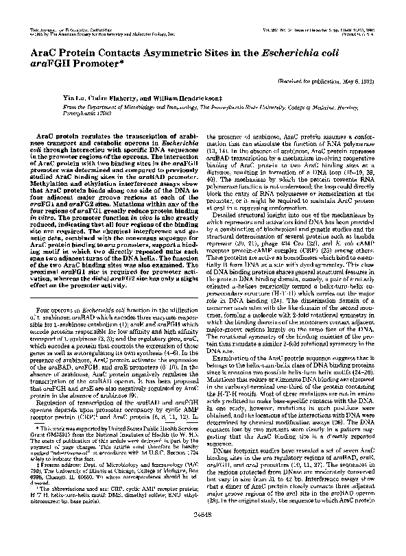(PDF) AraC protein contacts asymmetric sites in the Escherichia coli ...
