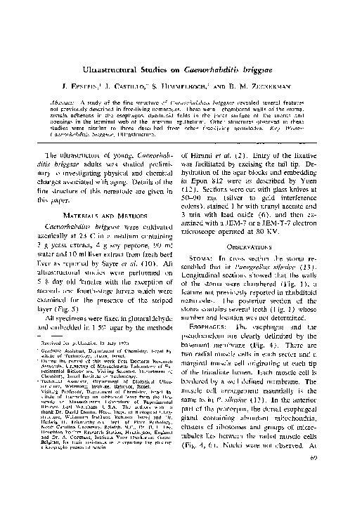 (PDF) Ultrastructural Studies on Caenorhabditis briggsae