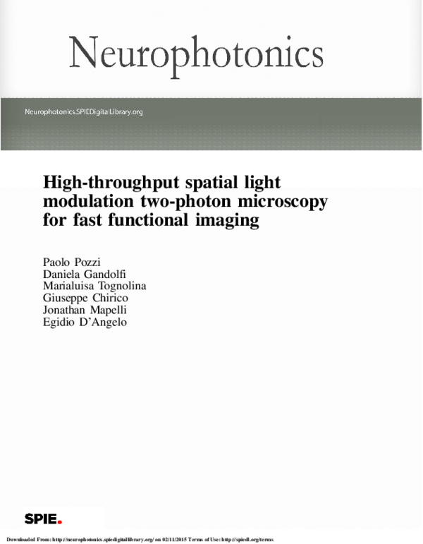 Pdf High Throughput Spatial Light Modulation Two Photon Microscopy