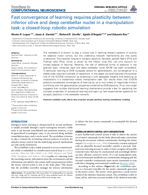 (PDF) Fast convergence of learning requires plasticity between inferior olive and deep ...