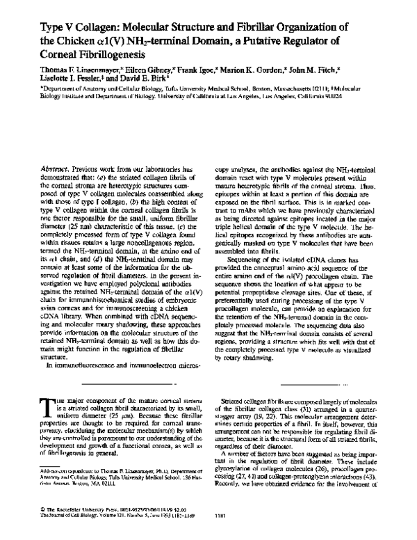 (PDF) Type V collagen: molecular structure and fibrillar organization ...