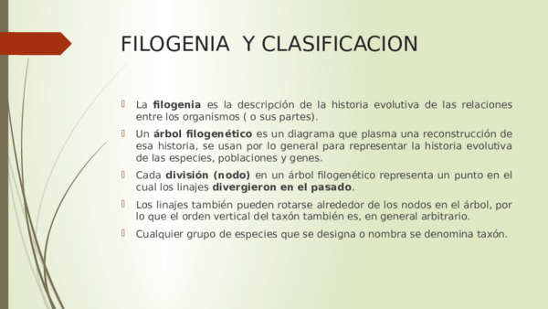 (PPT) FILOGENIA Y CLASIFICACION 2016 1