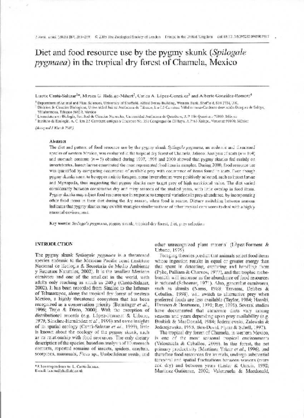 (PDF) Diet and food resource use by the pygmy skunk ( Spilogale pygmaea ...