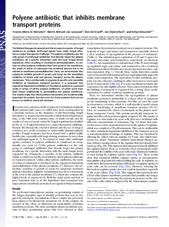 (PDF) Polyene antibiotic that inhibits membrane transport proteins