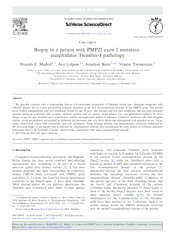 (PDF) Biopsy in a patient with PMP22 exon 2 mutation recapitulates ...