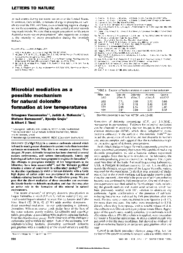 (PDF) Microbial mediation as a possible mechanism for natural dolomite ...