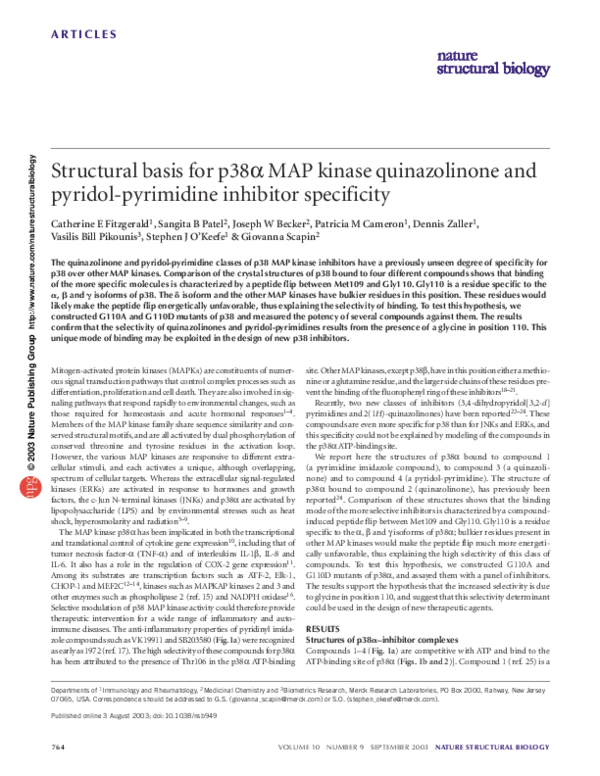 (PDF) Structural basis for p38α MAP kinase quinazolinone and pyridol ...