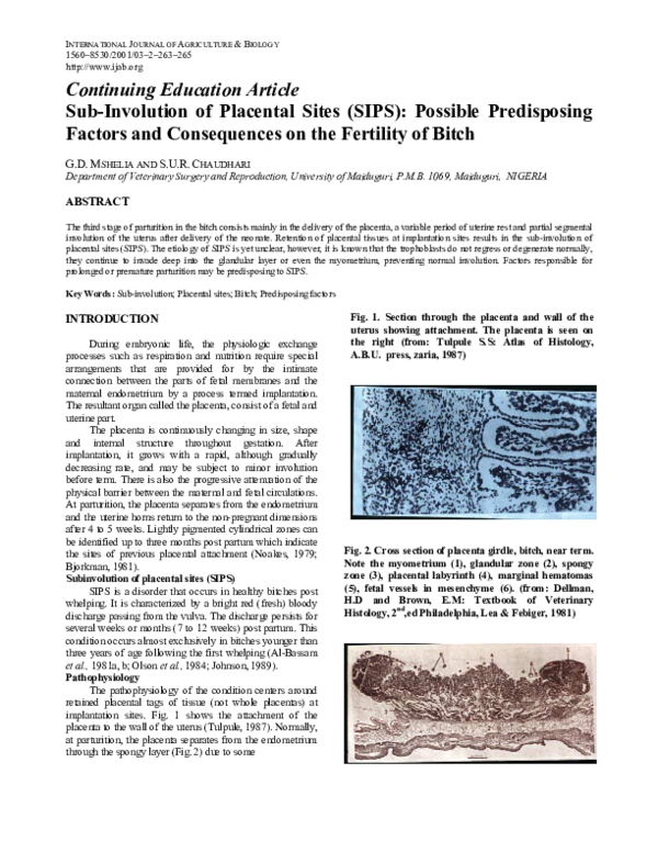 (PDF) Continuing Education Article Sub-Involution of Placental Sites ...