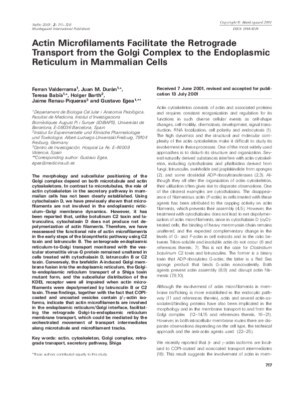 (PDF) Actin Microfilaments Facilitate the Retrograde Transport from the ...