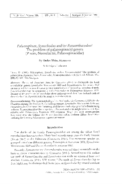Thies, D. (1991): Palaeospinax , Synechodus and/or Paraorthacodus ? The ...