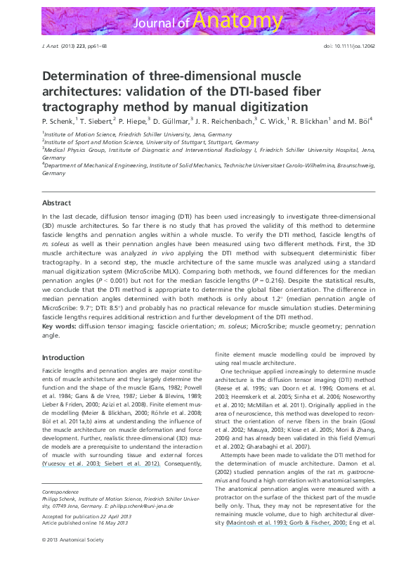 (PDF) Determination of three-dimensional muscle architectures: validation of the DTI-based fiber ...