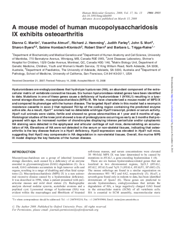(PDF) A mouse model of human mucopolysaccharidosis IX exhibits ...