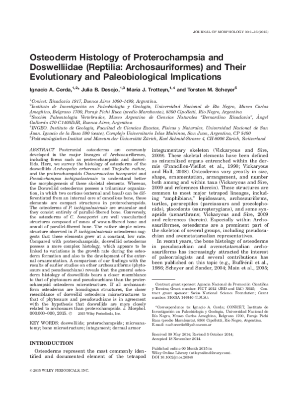 (PDF) Osteoderm histology of Proterochampsia and Doswelliidae (Reptilia ...