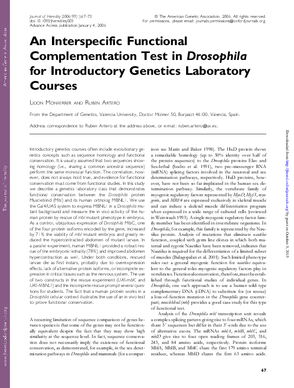 (PDF) An Interspecific Functional Complementation Test in Drosophila ...